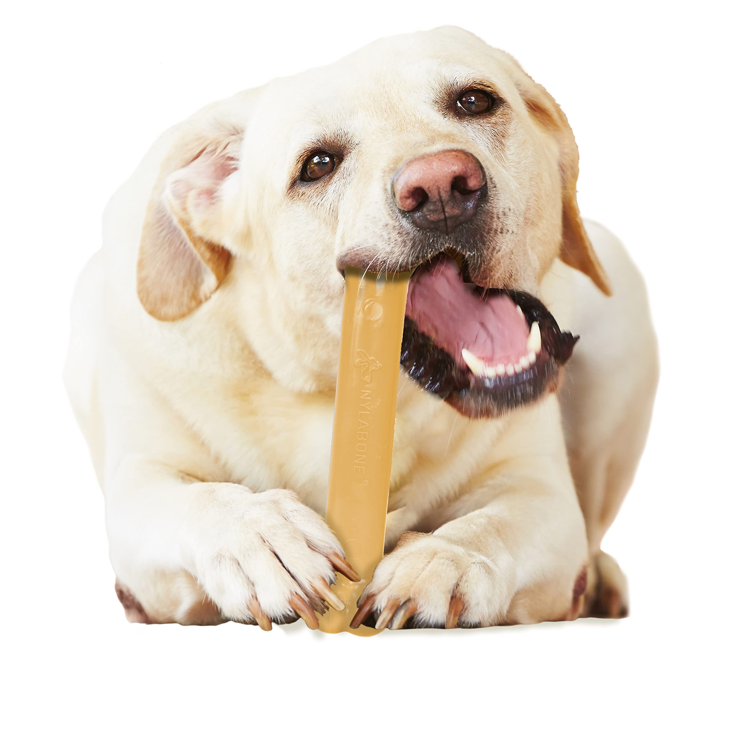 Nylabone Power Chew Classic Bone Chew Toy for Dogs, Durable Dog Toys for Aggressive Chewers, Peanut Butter Flavor, Large/Giant - Up to 50 lbs. (1 Count)