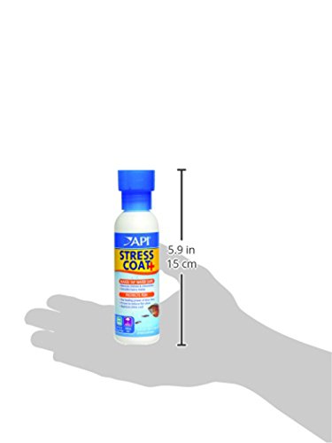 API STRESS COAT Aquarium Water Conditioner 4-Ounce Bottle (85B)