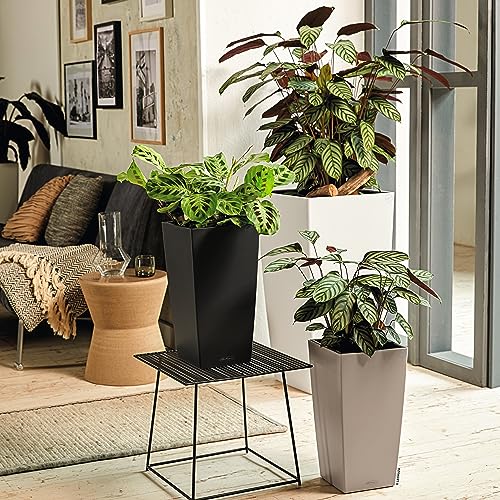 Lechuza 13138 Cubico Color 30 Self-Watering Planter for Indoor and Outdoor Use, 12" x 12" x 22", Slate