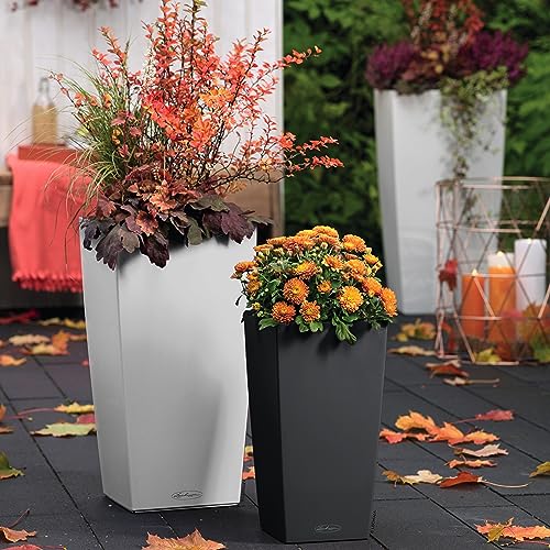 Lechuza 13138 Cubico Color 30 Self-Watering Planter for Indoor and Outdoor Use, 12" x 12" x 22", Slate