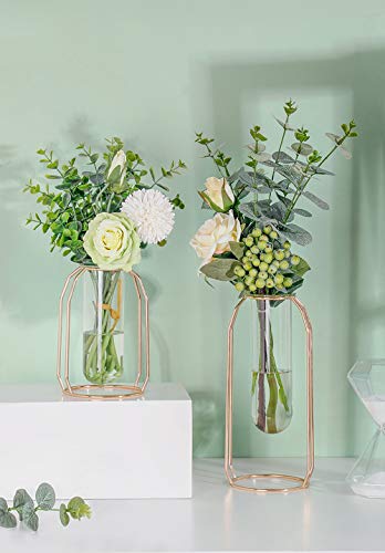 FSyueyun Desktop Glass Vase with Metal Frame,Modern Creative Hydroponics Vase Metal Flower Planter Terrariums Plant Glass-Gold (6.3Inch)