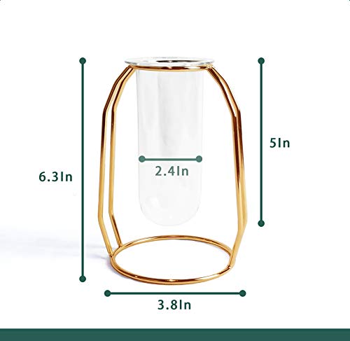 FSyueyun Desktop Glass Vase with Metal Frame,Modern Creative Hydroponics Vase Metal Flower Planter Terrariums Plant Glass-Gold (6.3Inch)