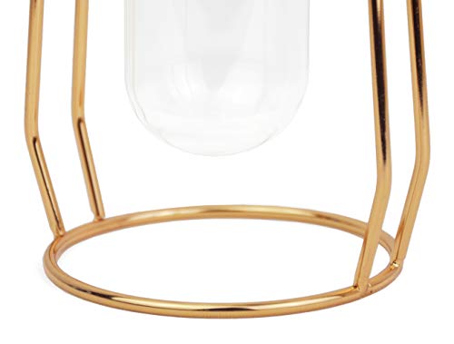 FSyueyun Desktop Glass Vase with Metal Frame,Modern Creative Hydroponics Vase Metal Flower Planter Terrariums Plant Glass-Gold (6.3Inch)