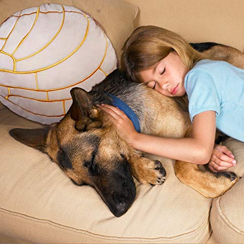 ABOUND LIFESTYLE Concha Pillow, Bread Pillow, Mexican Pan Dulce, Soft Micro Mink w/Down Cotton Filling, Decorative Throw Pillow, Food Plushies, Bread Plush, Food Cushion, Food Pillows, Funny Things