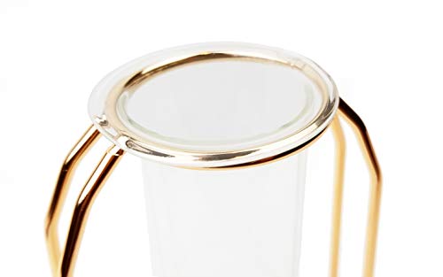 FSyueyun Desktop Glass Vase with Metal Frame,Modern Creative Hydroponics Vase Metal Flower Planter Terrariums Plant Glass-Gold (6.3Inch)