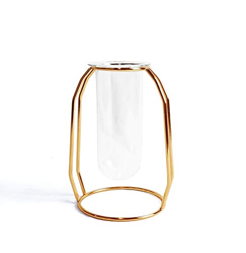 FSyueyun Desktop Glass Vase with Metal Frame,Modern Creative Hydroponics Vase Metal Flower Planter Terrariums Plant Glass-Gold (6.3Inch)