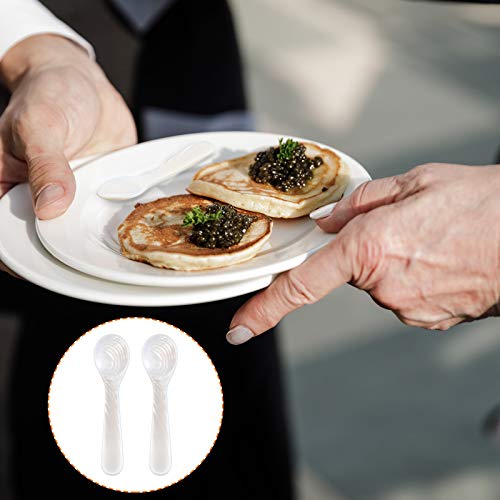 Set of Caviar Spoons Shell Spoon Mother of Pearl Caviar Spoons W Round Handle for Caviar, Egg, Ice Cream, Coffee, Restaurant Serving (2 Pieces,3.54 Inches)