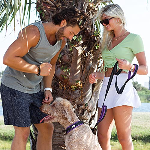 Black Rhino - The Comfort Collar Ultra Soft Neoprene Padded Dog Collar for All Breeds - Heavy Duty Adjustable Reflective Weatherproof (Medium, Purple/Bl)