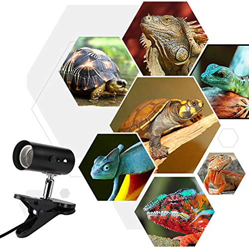 2 Pack Clamp Lamp Fixture with 3 Pack 50W UVA UVB Bulbs, for Reptiles Adjustable Habitat Lighting & Heat Lamps Holder Stand for Pet Habitat Heat Light Bulbs/Lamps
