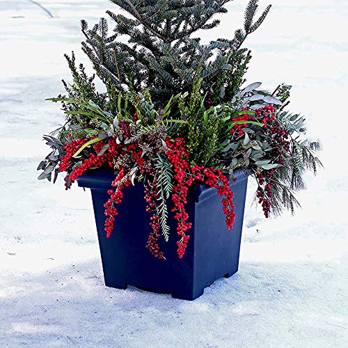 The HC Companies 24 Inch Terrazzo Large Square Planter - Rolled Rim Weather Resistant Decorative Plastic Plant Pot for Indoor Outdoor Use, Black
