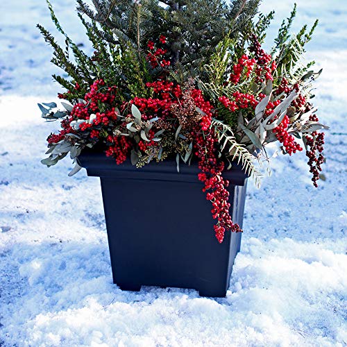 The HC Companies 24 Inch Terrazzo Large Square Planter - Rolled Rim Weather Resistant Decorative Plastic Plant Pot for Indoor Outdoor Use, Black
