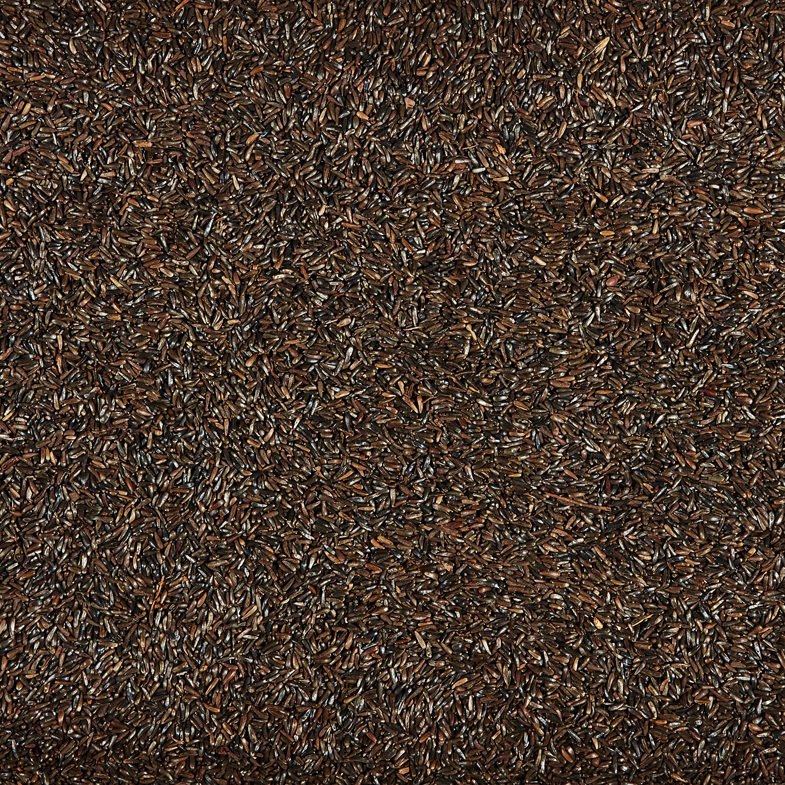 Kaytee Nyjer Wild Bird Food Seed, 8 Pound