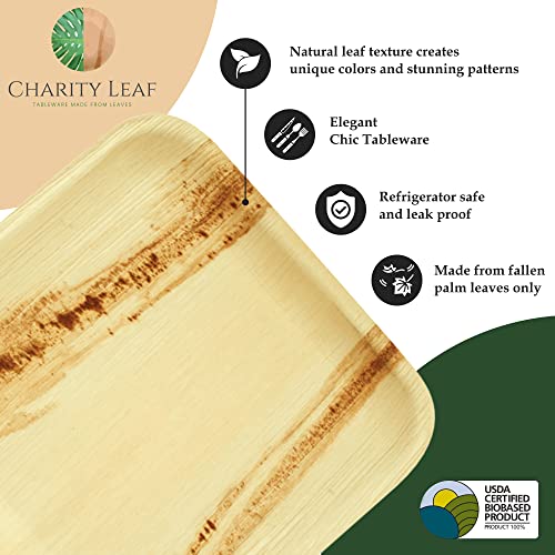 Charity Leaf Disposable Palm Leaf 22" x 12" Trays (10 pieces) Bamboo Like Serving Platters, Disposable Boards, Eco-Friendly Dinnerware For Weddings, Catering, Events