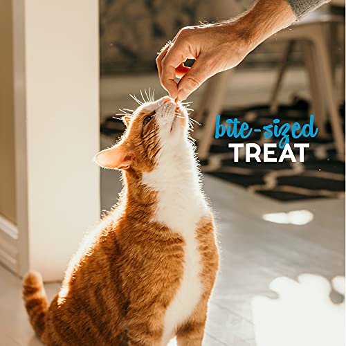 Buddy Biscuits 3 oz. Pouch of Grain Free Soft & Chewy Cat Treats Made with Natural Temping Tuna