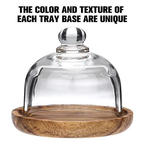 Yardwe 2 Sets Glass Dome with Wooden Base Mini Cake Stand Glass Display Dome Cloche Clear Glass Bell Jar Cover for Dessert Cheese Candy Plants Succulents (4.1 x 3.7 Inch)