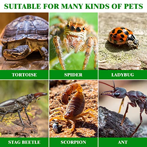 POPETPOP Reptile Breeding Box, Reptile Feeding Container Aquarium Breeding Tank Transparent Reptile Feeding Box Reptile Terrarium Habitat for Snake Turtle Lizards