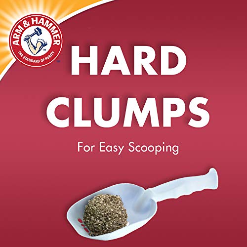 Arm & Hammer Super Scoop Clumping Cat Litter, Fragrance Free 40lb