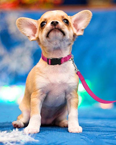 Reflective Dog Collar with Buckle Adjustable Safety Nylon Collars for Small Medium Large Dogs, Hotpink S