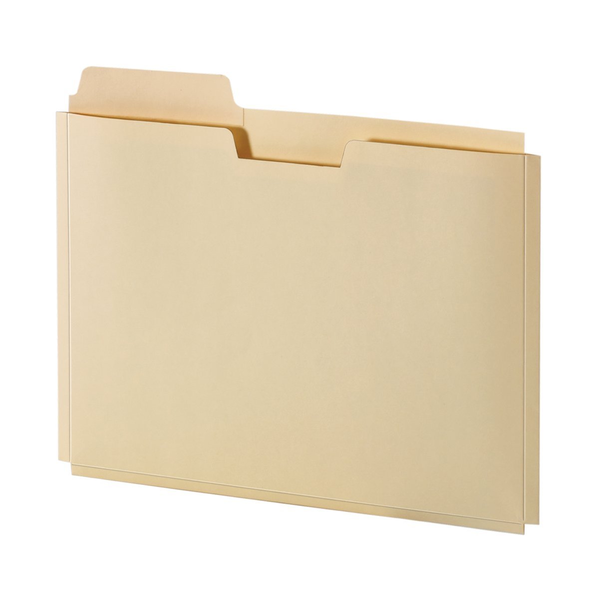 Pendaflex Expanding File Folder Pocket, Letter-Size Folders for School, Home and Office, Document Organizer, Durable Expanding File, Manila, 10 File Folder Pockets (FP153L10)"