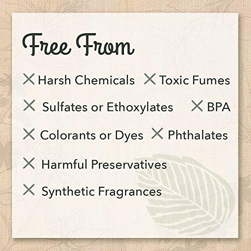 Eco Me Natural Environmentally Friendly Sudsing Liquid Dish Soap, Healthy Fragrance Free Scent, 16 Ounces