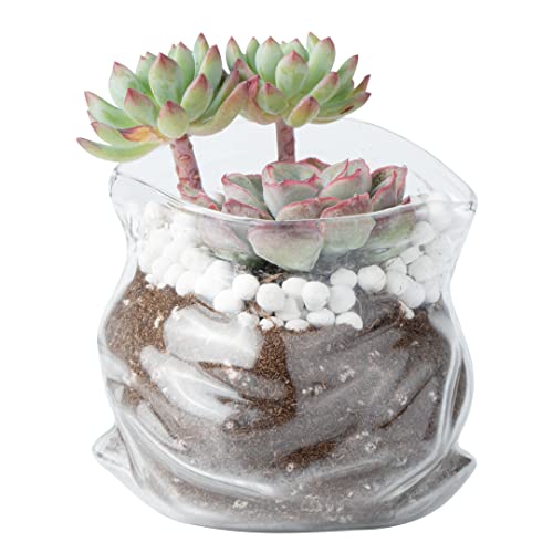8 Ounce Glass Zipper Bag, 1 Small Glass Bag - Realistic Crinkled Edges, Serve Candy, Popcorn, or Nuts, Clear Glass Bag Bowl, Dishwashable, Flat Base - Restaurantware.