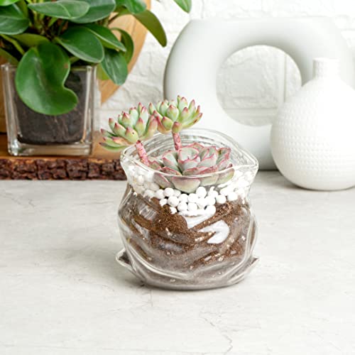 8 Ounce Glass Zipper Bag, 1 Small Glass Bag - Realistic Crinkled Edges, Serve Candy, Popcorn, or Nuts, Clear Glass Bag Bowl, Dishwashable, Flat Base - Restaurantware.