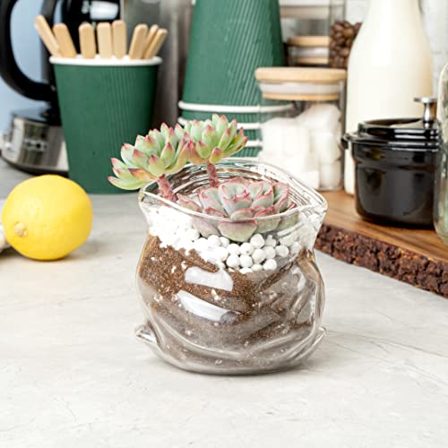 8 Ounce Glass Zipper Bag, 1 Small Glass Bag - Realistic Crinkled Edges, Serve Candy, Popcorn, or Nuts, Clear Glass Bag Bowl, Dishwashable, Flat Base - Restaurantware.