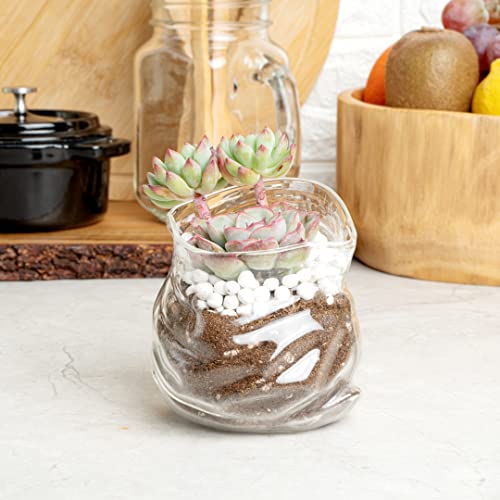 8 Ounce Glass Zipper Bag, 1 Small Glass Bag - Realistic Crinkled Edges, Serve Candy, Popcorn, or Nuts, Clear Glass Bag Bowl, Dishwashable, Flat Base - Restaurantware.