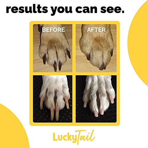 LuckyTail - Dog Nail Grinder - Small & Large Dogs - Whisper Quiet Operation (30- 50dB) - Powerful 2-Speed Motor - LED Light - Rechargeable - Pet Grooming Kit - Dog Nail Trimmers - Pet Nail Grinder