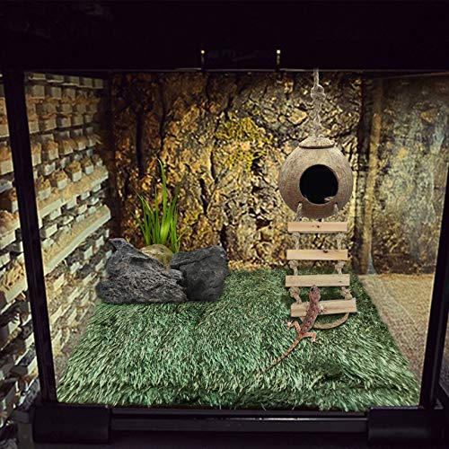 PINVNBY Crested Gecko Coco Hut with Ladder Natural Lizard Coconut Shell Hideout Home Mini Condo for Reptiles Durable Cave Habitat with Hanging Loop Coconut Texture Provide Food for Pets
