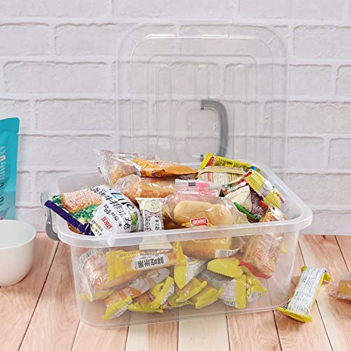 Hommp 8 L Clear Plastic Storage Box, Plastic Latching Box with Lid, 2-Pack