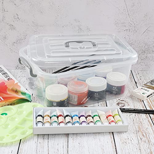 Hommp 8 L Clear Plastic Storage Box, Plastic Latching Box with Lid, 2-Pack