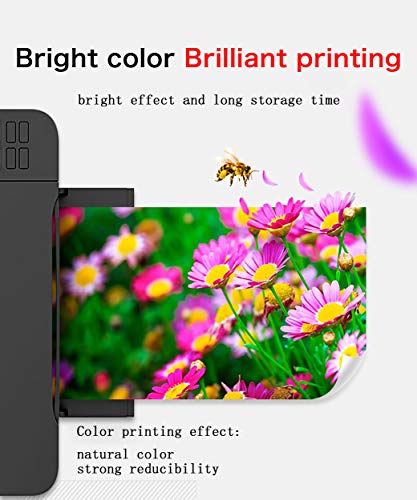 6-Pack Green Toner Supply Compatible 920XL Ink Cartridge 920 (3xB+CYM) 920XL 920 Ink Cartridge Work in HP OFFICEJET 6000 6500A 6500 7500 Printers