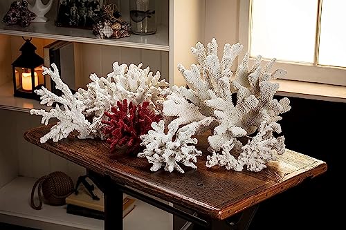 Abbott Collection 20-SEASHORE/40 Large White Flower Coral Decorative Resin Figurine