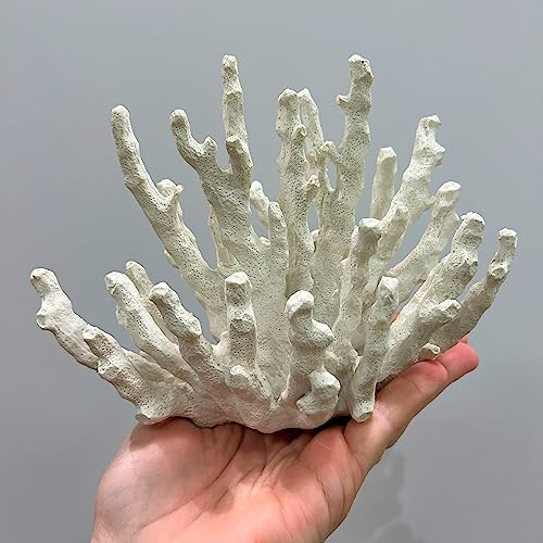Abbott Collection 20-SEASHORE/40 Large White Flower Coral Decorative Resin Figurine