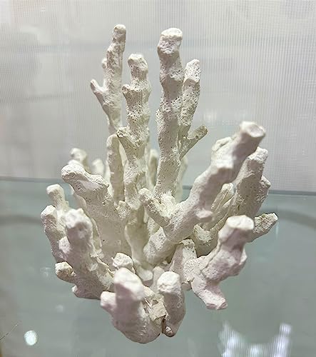 Abbott Collection 20-SEASHORE/40 Large White Flower Coral Decorative Resin Figurine