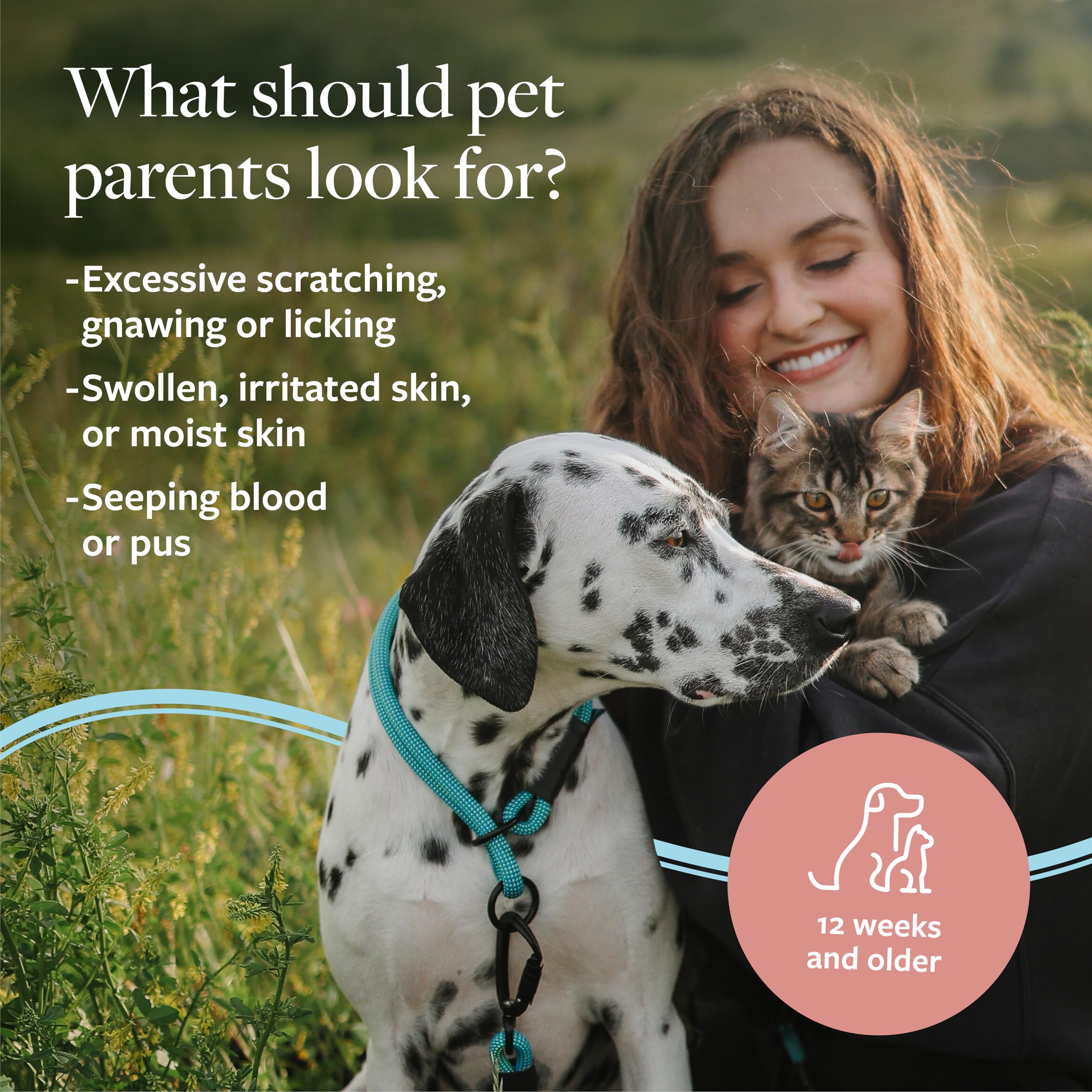 Veterinary Formula Clinical Care Hot Spot & Itch Relief Medicated Shampoo for Dogs and Cats 16oz – Helps Alleviate Sensitive Skin, Scratching, and Licking of Coat