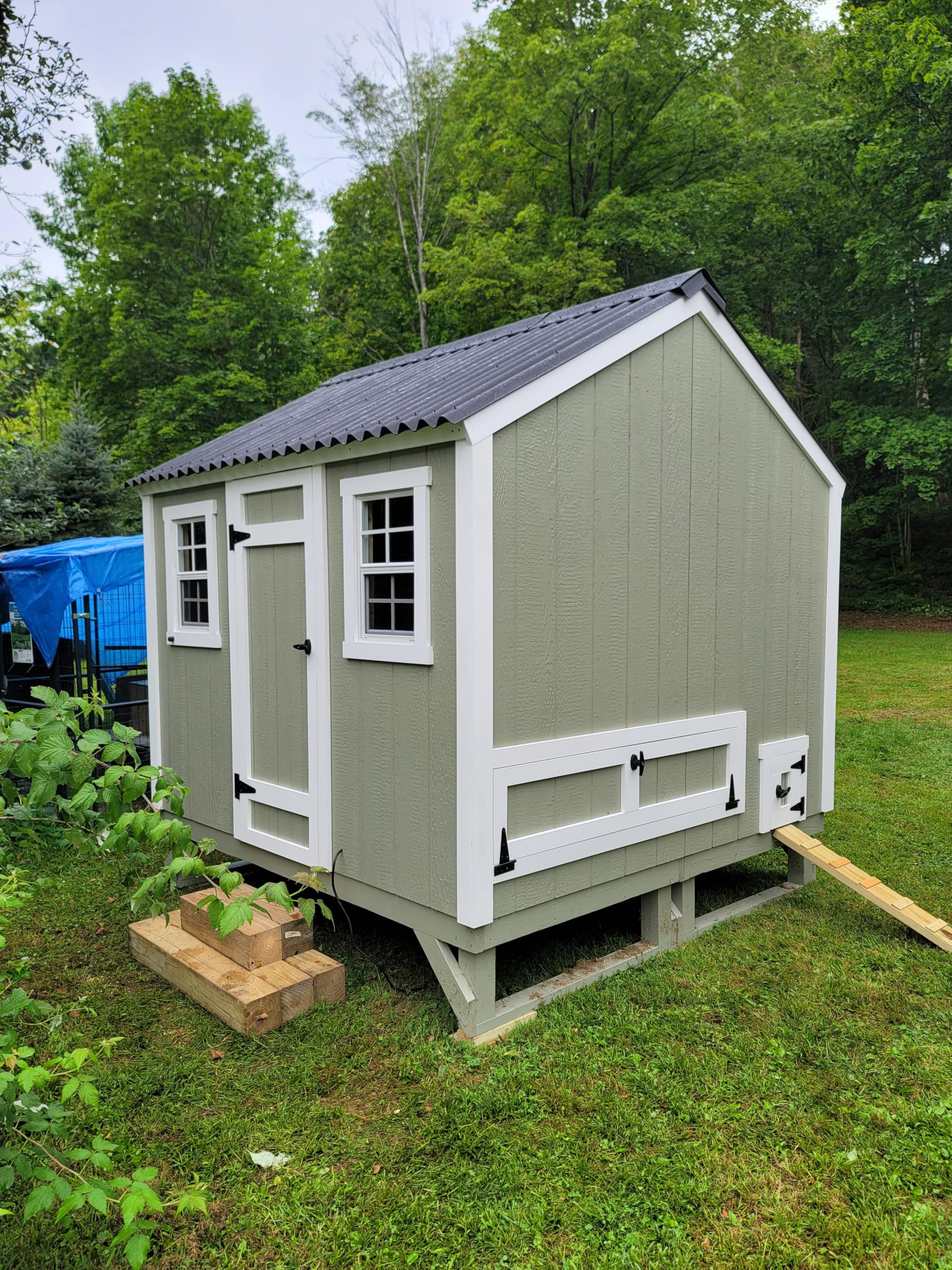 Shed Windows and More 12 X 18 Playhouse Window White Flush, Chicken Coop Window, Shed Window