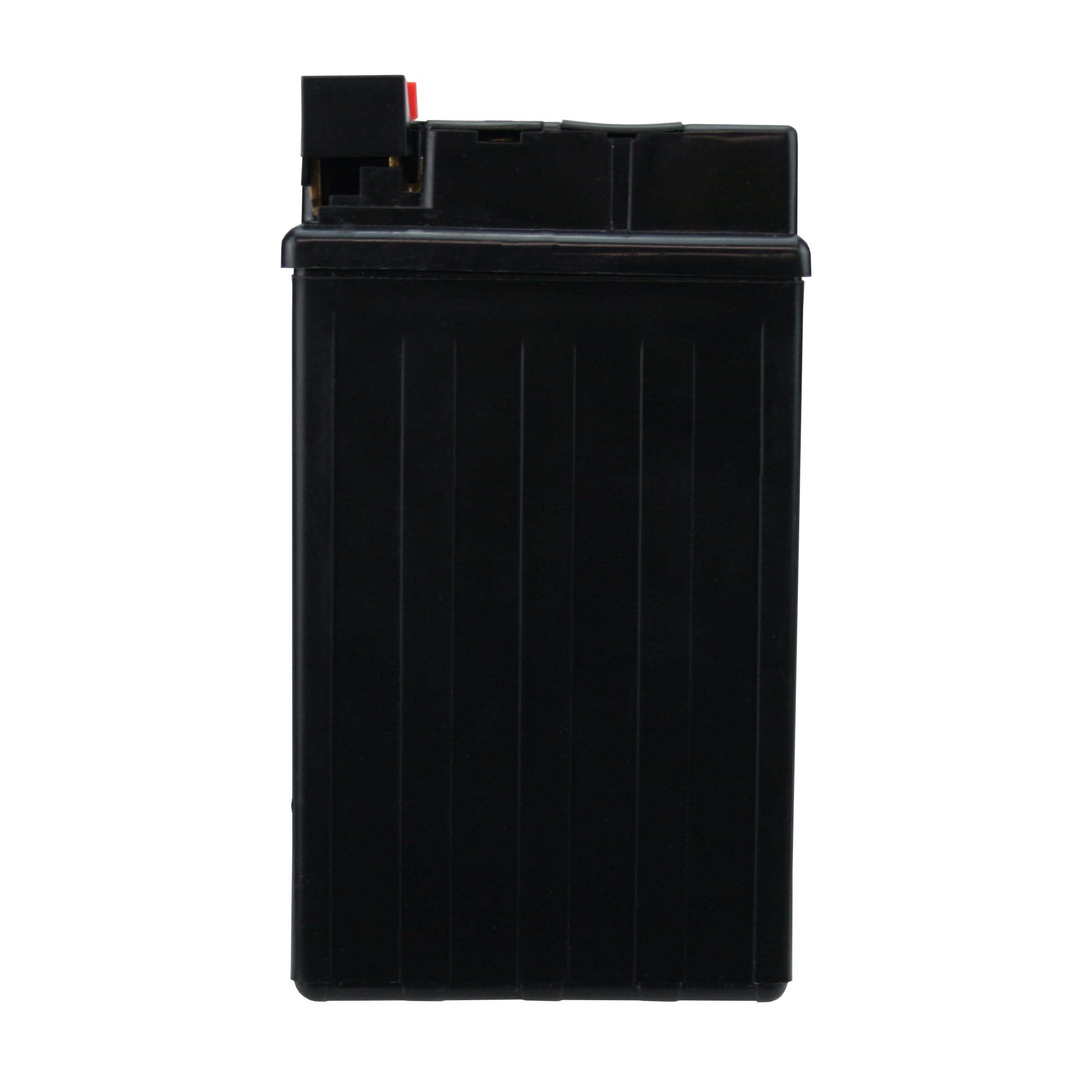 PowerStar YTX14-BS, YTX14, KMX14-BS, FTX14-BS Replacement Battery 200cca High Performance WP14-BS Sealed AGM for Powersports