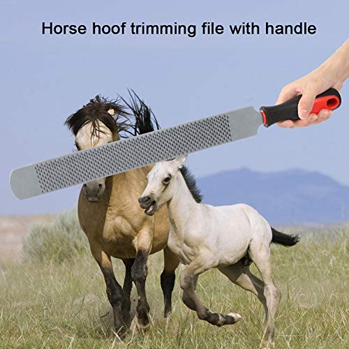 LZKW Double Sided Farrier Tool Professional Horse File Horse File, Horse Rasp, for Clean up The Horse's Hooves
