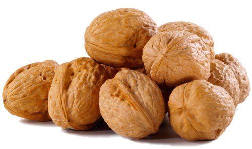 In Shell Jumbo Walnuts - 20 lb.