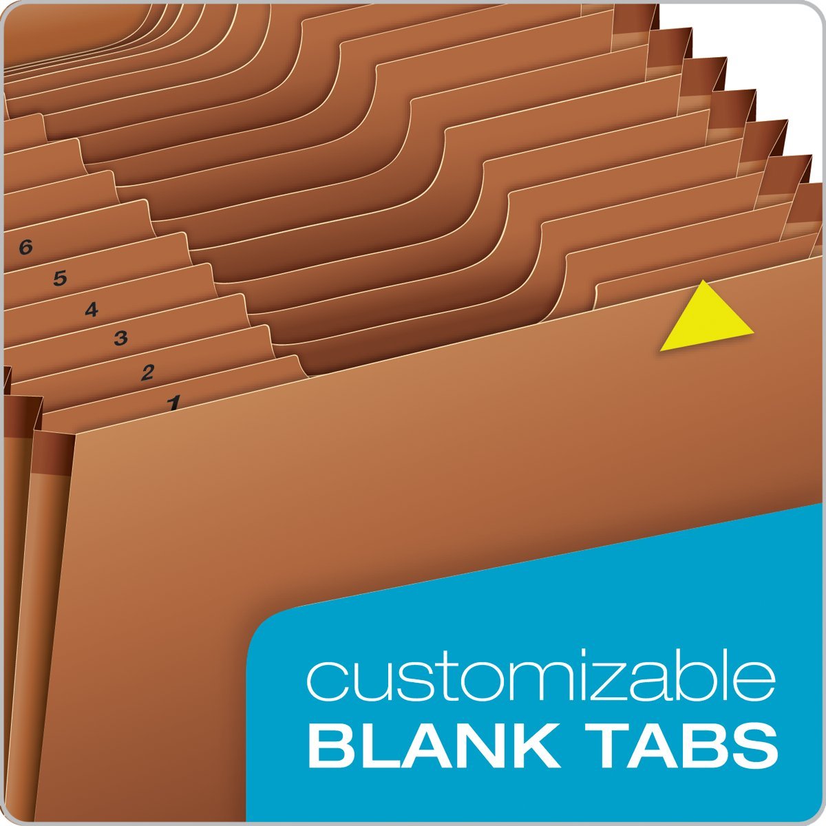 Globe Weis Globe-Weis/Pendaflex Heavy Duty 31-Pocket Expanding File with Flap, 1-31 Index, Letter Size, Brown, (R117DLHD)