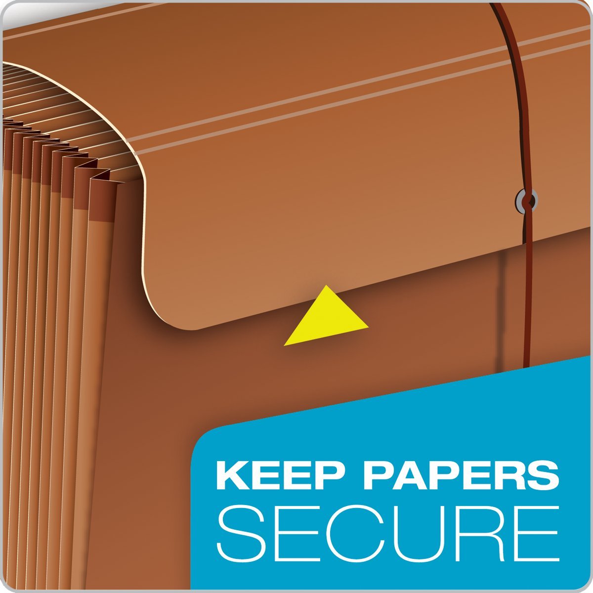 Globe Weis Globe-Weis/Pendaflex Heavy Duty 31-Pocket Expanding File with Flap, 1-31 Index, Letter Size, Brown, (R117DLHD)