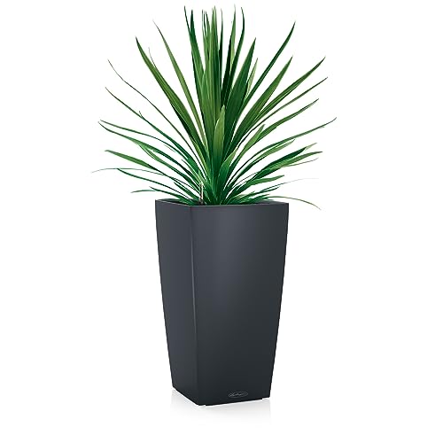 Lechuza 13164 Cubico Color 22 Self-Watering Planter for Indoor and Outdoor Use, 9" x 9" x 16", Slate Matte
