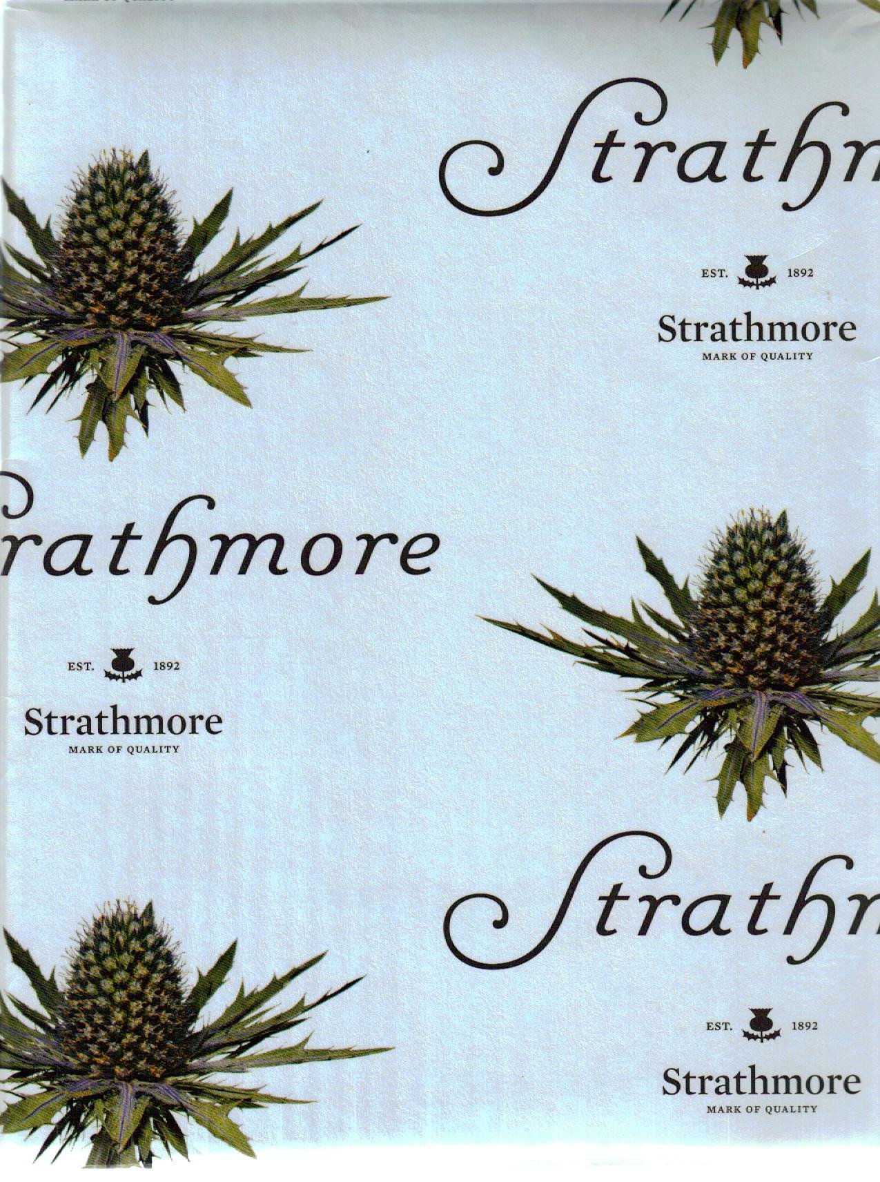 Strathmore Writing 30% Cotton Stationery Paper Watermarked, 24 Lb, 8.5 X 11 Inch, 500 Sheets Acid Free (190523) Natural White