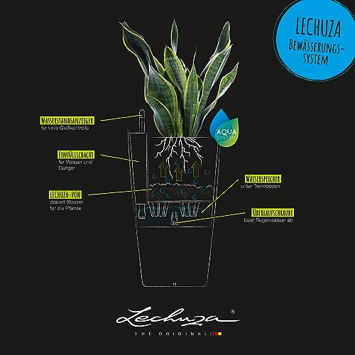 Lechuza 13164 Cubico Color 22 Self-Watering Planter for Indoor and Outdoor Use, 9" x 9" x 16", Slate Matte