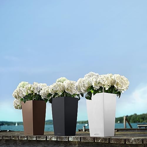 Lechuza 13164 Cubico Color 22 Self-Watering Planter for Indoor and Outdoor Use, 9" x 9" x 16", Slate Matte