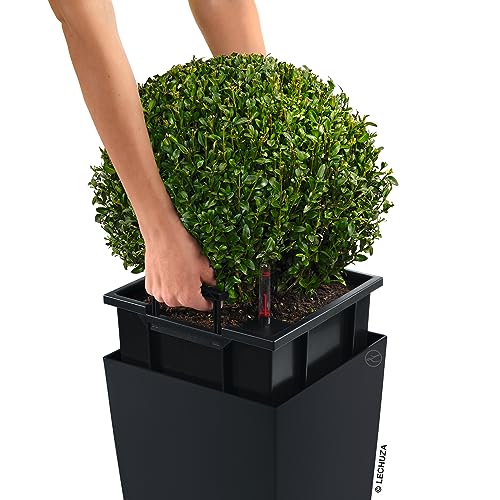 Lechuza 13164 Cubico Color 22 Self-Watering Planter for Indoor and Outdoor Use, 9" x 9" x 16", Slate Matte