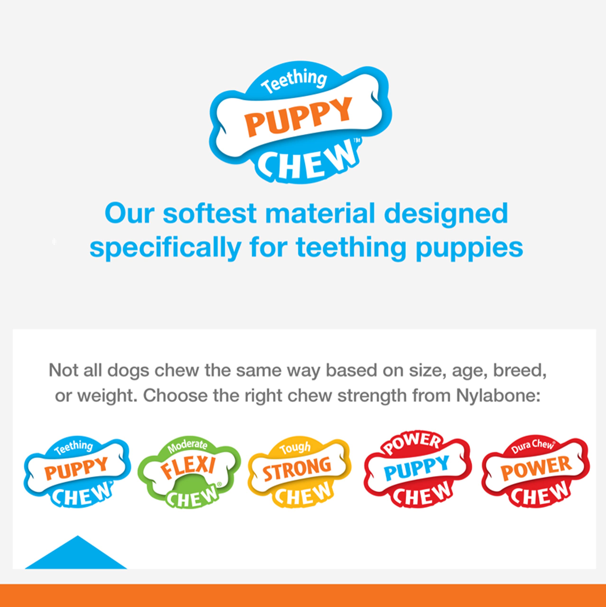 Nylabone Puppy Pacifier Chew Toy, Teething Toys for Puppies, Bacon Flavor, Small - Up to 25 lbs, 1 Count
