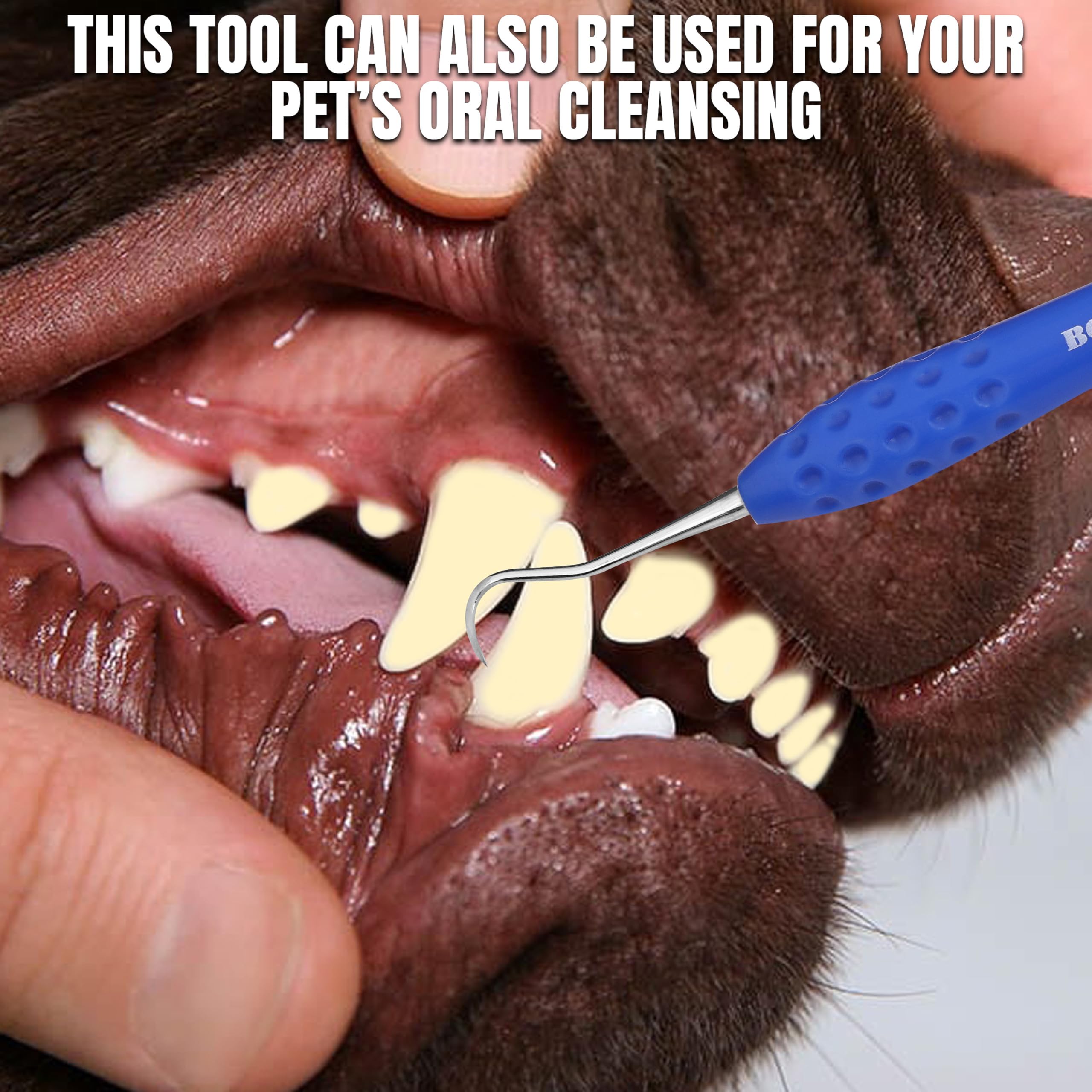 Professional Dental Tools Tartar Scraper For Dentist, Personal and Pets Use Plaque Remover With Comfortable Grip, Double ended Silicon Grip Scaler